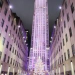 NYC: Christmas Lights Horse Carriage Ride - Who Is This Experience Best For?