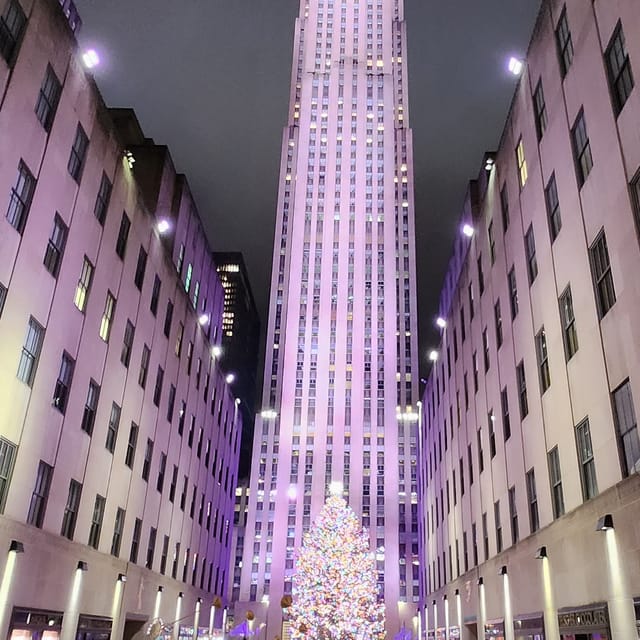 NYC: Christmas Lights Horse Carriage Ride - Who Is This Experience Best For?