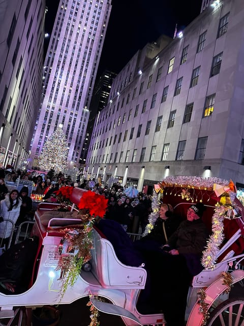 NYC: Christmas Lights Horse Carriage Ride - Final Thoughts  
