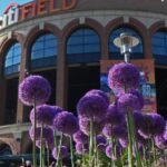 NYC: Citi Field Insider Guided Ballpark Tour - Who Will Love This Tour?