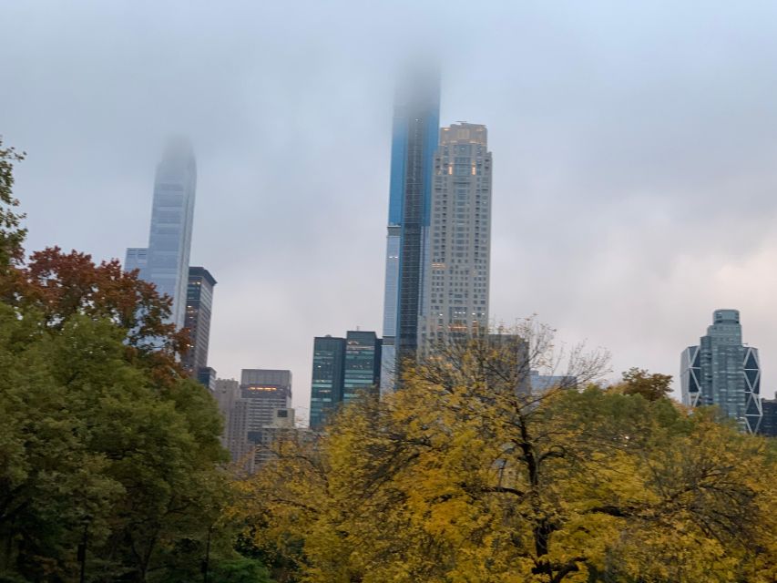 NYC: Empire State Horses Carriage Ride in Central Park - What to Expect from the Ride