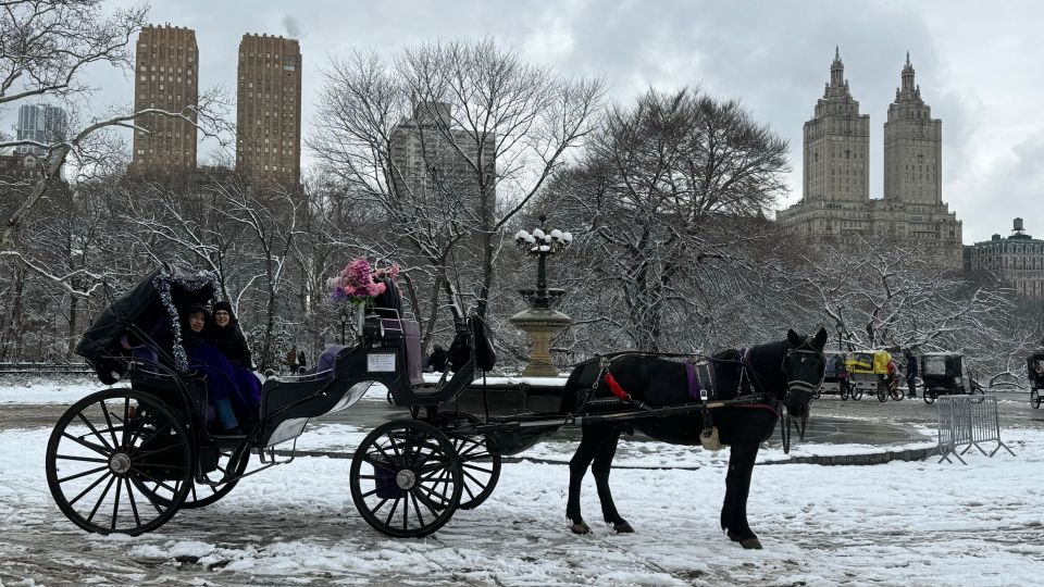 NYC: Empire State Horses Carriage Ride in Central Park - Price and Value