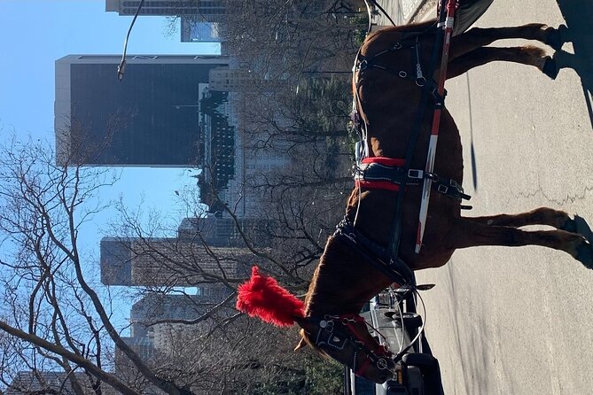 NYC Empire State Horses Carriage Ride in Central Park (45 Mins) - Key Points