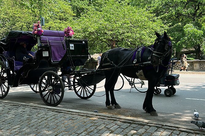NYC Empire State Horses Carriage Ride in Central Park (45 Mins) - The Itinerary: What’s on the Ride