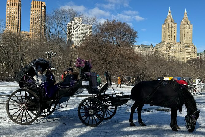 NYC Empire State Horses Carriage Ride in Central Park (45 Mins) - Who Will Love This Tour?