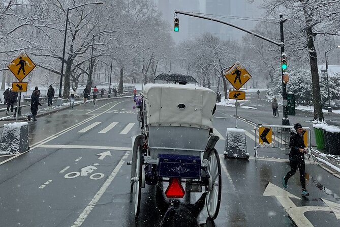 NYC Empire State Horses Carriage Ride in Central Park (45 Mins) - Practical Details