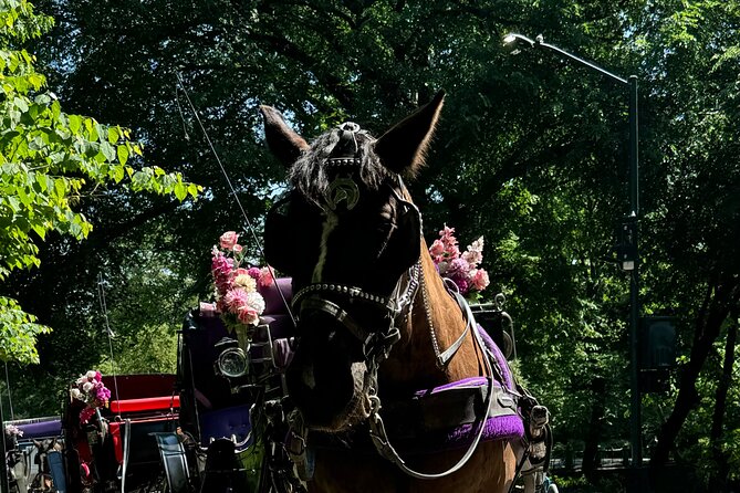 NYC Empire State Horses Carriage Ride in Central Park (45 Mins) - FAQs