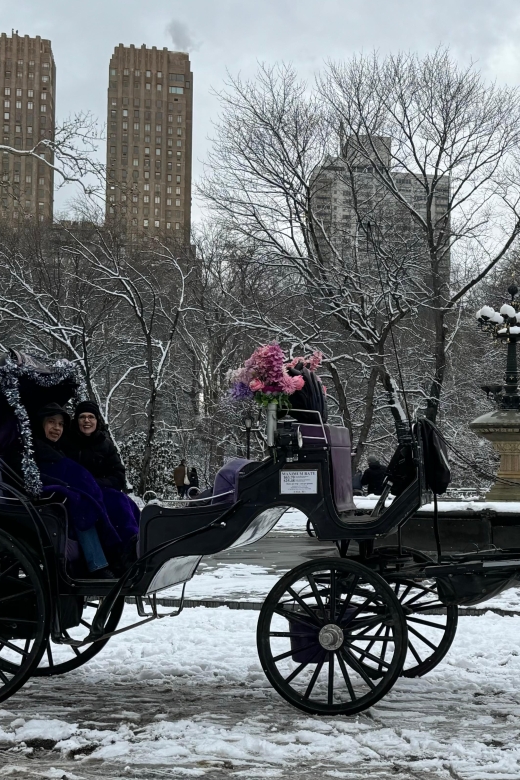 NYC: Empire State Horses Carriage Ride in Central Park - Who Will Love This Experience?