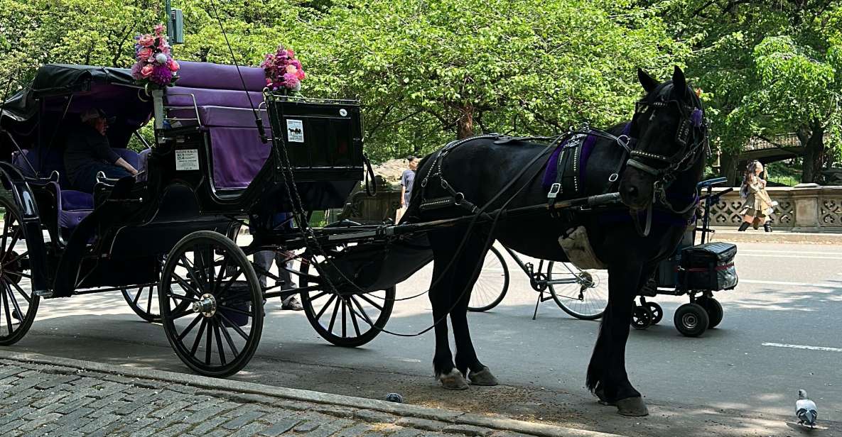 NYC: Empire State Horses Carriage Ride in Central Park - Final Thoughts