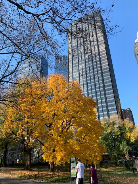NYC: Empire State Horses Carriage Ride in Central Park - FAQ