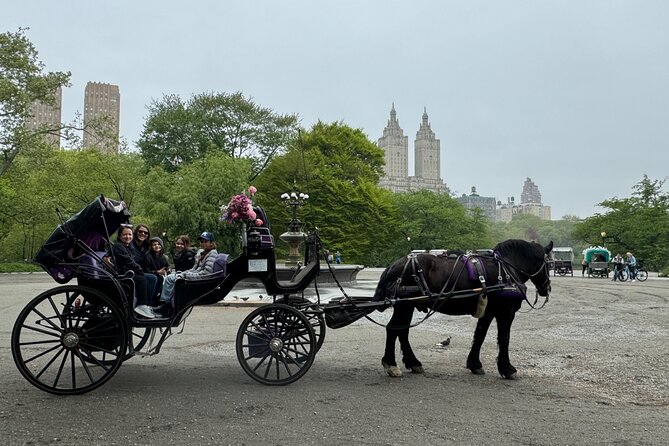 NYC Empire State Horses Carriage Ride in Central Park(55 Min) - Who Should Consider This Tour?