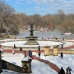 NYC Empire State Horses Carriage Ride in Central Park(55 Min) - Final Thoughts