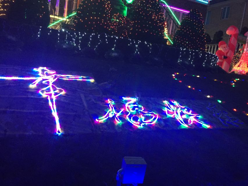 NYC | French guided tour of Christmas in Brooklyn - Who Should Consider This Tour?