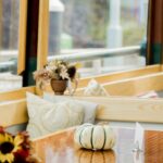 NYC: Grand Palisades Fall Foliage Yacht Tour - The Best Fit for This Tour