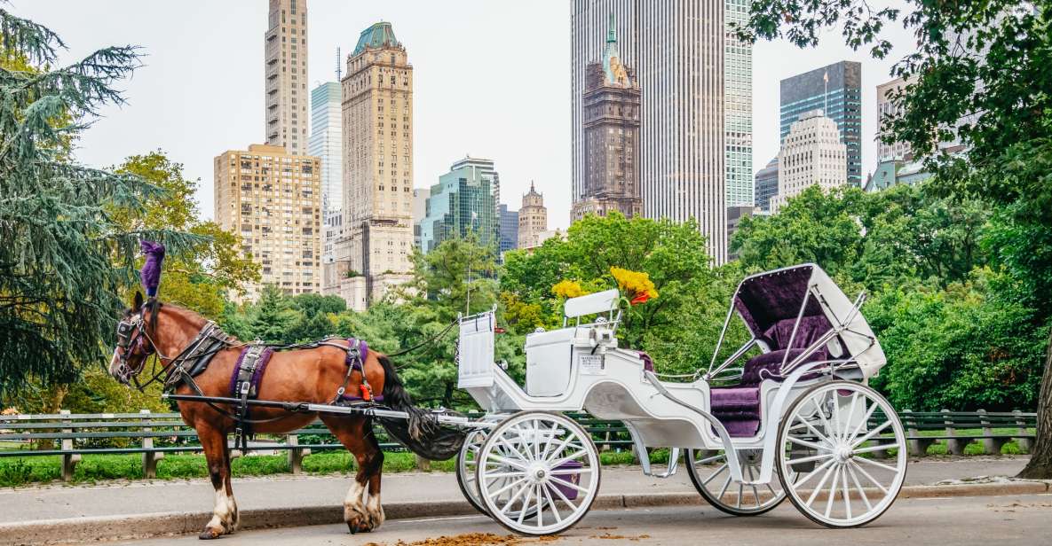 NYC: Guided Central Park Horse Carriage Ride - A Detailed Look at the Central Park Horse Carriage Tour