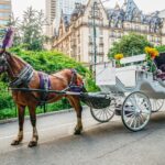 NYC: Guided Central Park Horse Carriage Ride - Why This Tour Offers Great Value