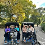 NYC: Guided Central Park Pedicab Private Tour - The Breakdown of the Itinerary