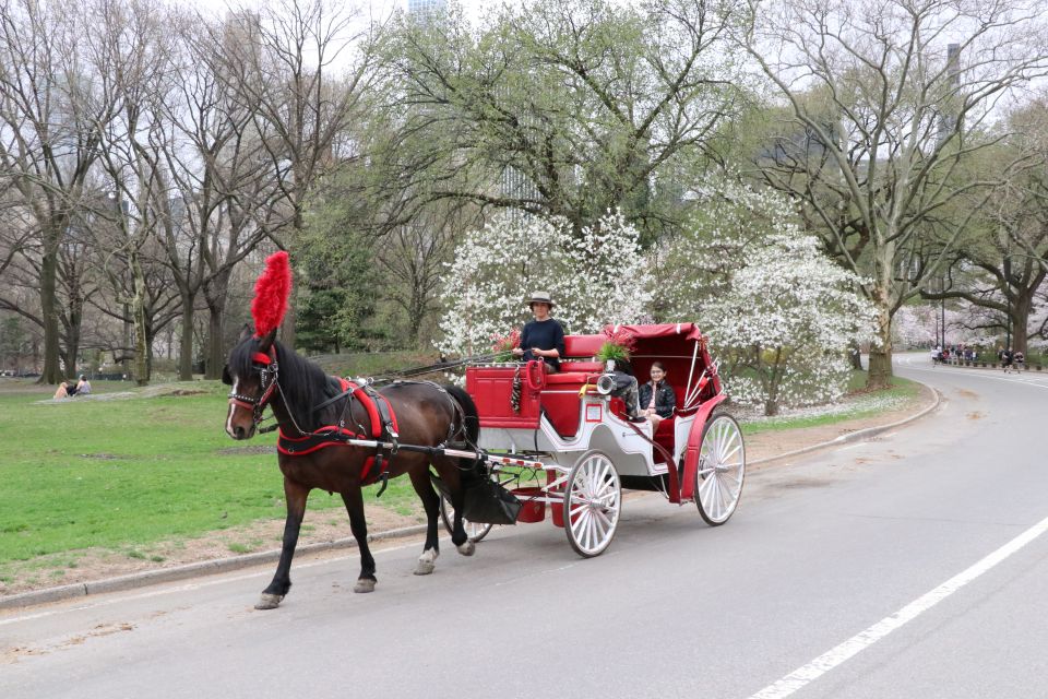 NYC: Guided Standard Central Park Carriage Ride (4 Adults) - An In-Depth Look at the Central Park Carriage Ride