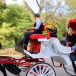 NYC: Guided Standard Central Park Carriage Ride (4 Adults) - Who Should Book This Experience?