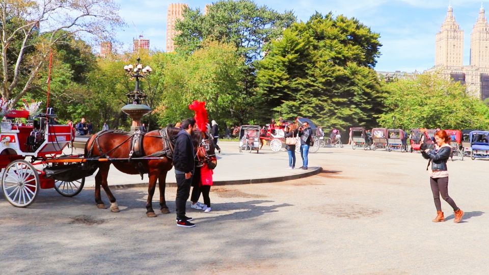 NYC: Guided Standard Central Park Carriage Ride (4 Adults) - Practical Tips