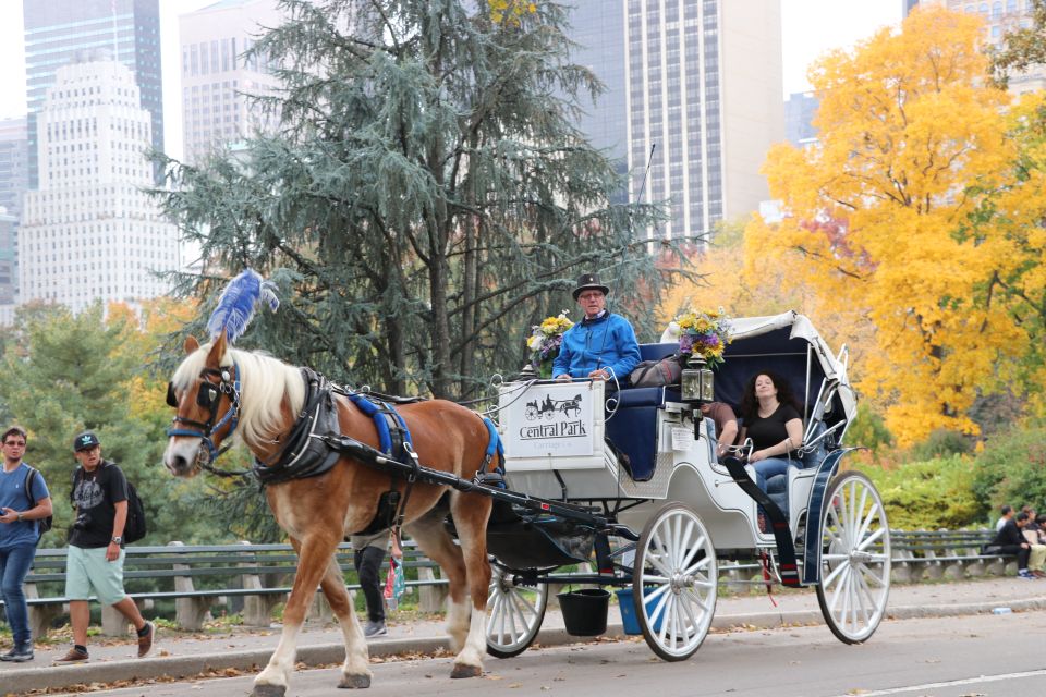 NYC: Guided Standard Central Park Carriage Ride (4 Adults) - Final Thoughts