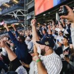NYC: Harlem & Bronx with Yankees Baseball Game, 1-Day Tour - Practical Details and Value