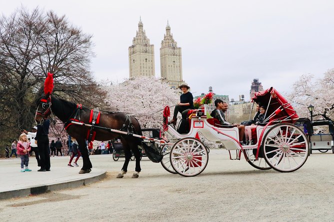 NYC Horse Carriage Ride in Central Park (50 Min. Up to 4 Adults) - What to Expect During Your Ride