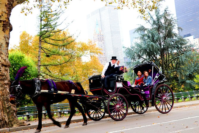 NYC Horse Carriage Ride in Central Park (50 Min. Up to 4 Adults) - Who Will Love This Tour?