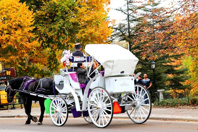 NYC Horse Carriage Ride in Central Park (50 Min. Up to 4 Adults) - Final Thoughts