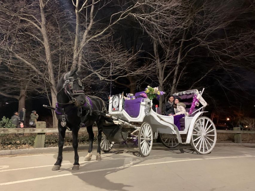 NYC Horse Carriage Ride in Central Park (65 min) - Key Points