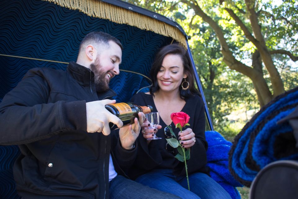 NYC Horse Carriage Ride in Central Park (65 min) - What the Tour Offers: A Detailed Breakdown