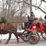 NYC Horse Carriage Ride in Central Park (65 min) - The Experience: What Travelers Are Saying