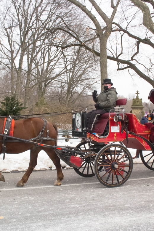 NYC Horse Carriage Ride in Central Park (65 min) - The Experience: What Travelers Are Saying