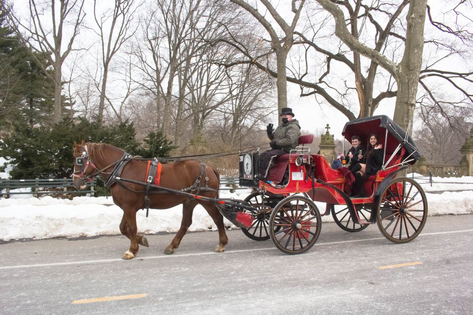 NYC Horse Carriage Ride in Central Park (65 min) - Who Is This Tour Best For?