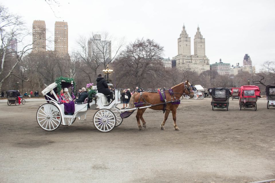 NYC Horse Carriage Ride in Central Park (65 min) - Final Thoughts: Is It Worth It?
