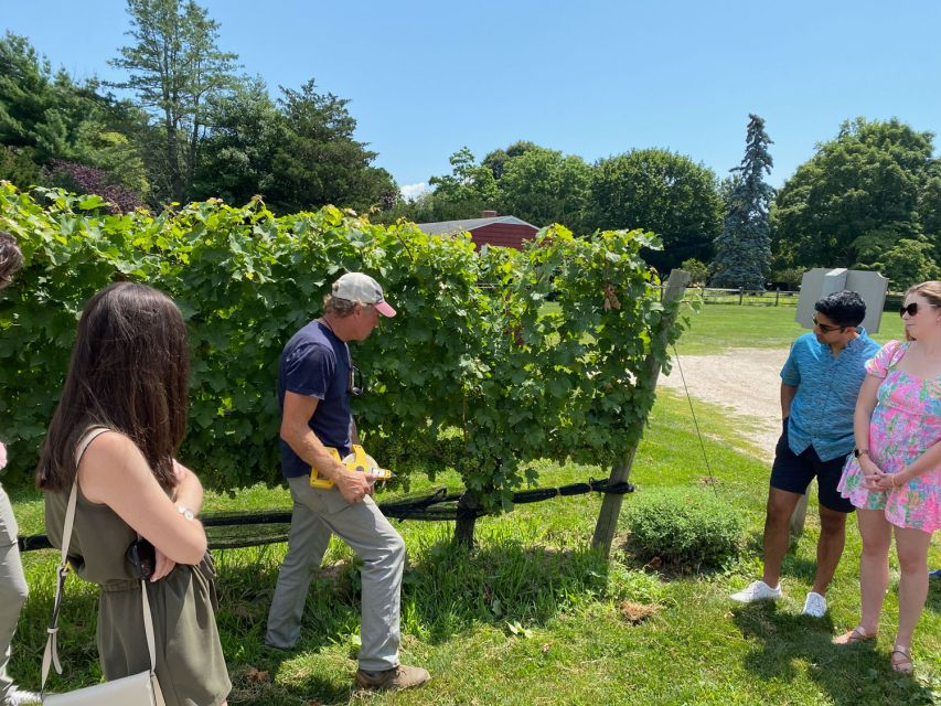 NYC: Long Island Sommelier-Guided Wine Tasting Tour - Who Is This Tour Best Suited For?