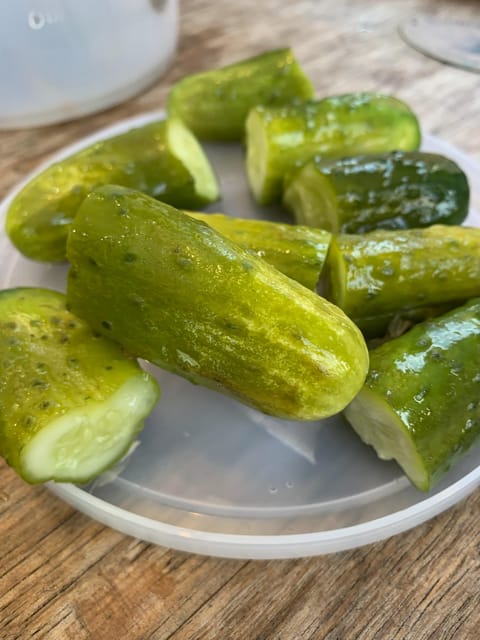 NYC: Lower East Side Walking and Food Tasting Tour - FAQ