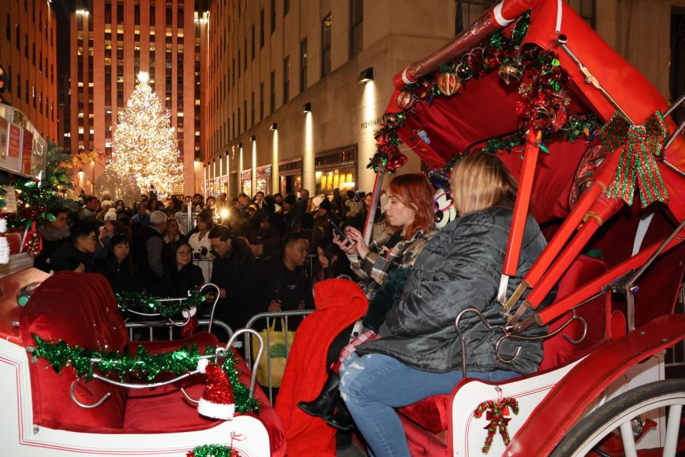 NYC: Magical Christmas Lights Carriage Ride (Up to 4 Adults) - Practical Tips for Booking and Enjoying the Tour