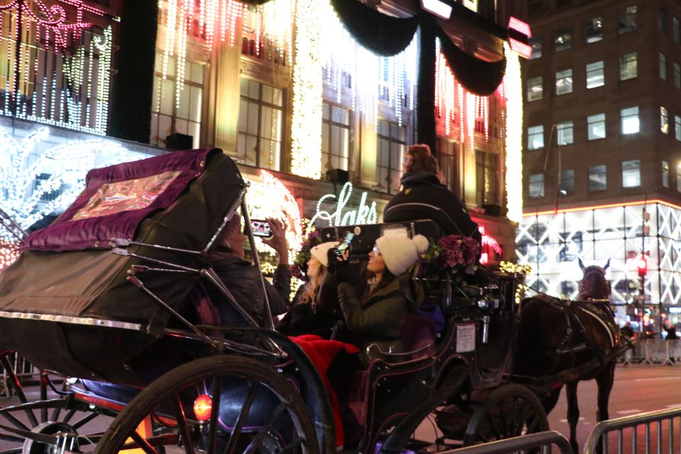 NYC: Magical Christmas Lights Carriage Ride (Up to 4 Adults) - The Sum Up: Who Will Love This Experience?