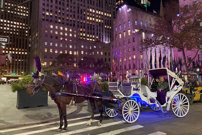 NYC : Magical Christmas Lights Private Horse Carriage Ride - NYC: Magical Christmas Lights Private Horse Carriage Ride — A Festive Sojourn in Central Park