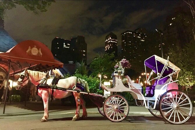 NYC : Magical Christmas Lights Private Horse Carriage Ride - Key Points