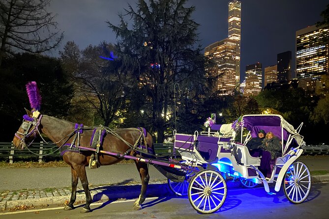 NYC : Magical Christmas Lights Private Horse Carriage Ride - Who Is This Tour Best For?