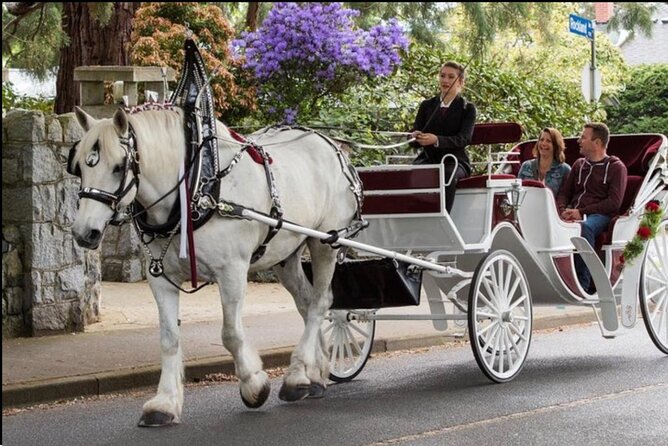 NYC : Magical Christmas Lights Private Horse Carriage Ride - Final Thoughts: A Cozy, Romantic Holiday Escape