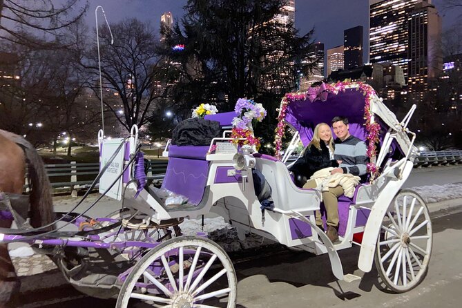 NYC : Magical Christmas Lights Private Horse Carriage Ride - FAQ
