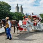 NYC MAGICAL NIGHT TIME RIDE Central Park/Rockefeller Center - Practical Details & Considerations