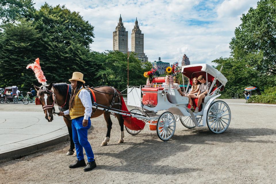 NYC MAGICAL NIGHT TIME RIDE Central Park/Rockefeller Center - Practical Details & Considerations