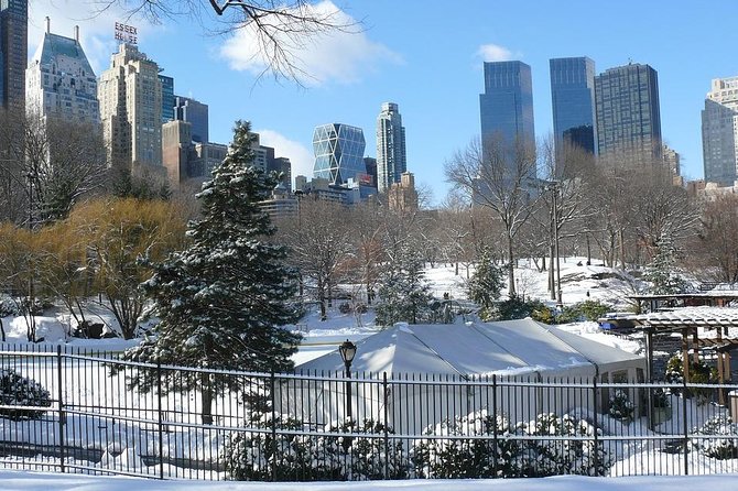 NYC Manhattan Private Custom Christmas Tour with a Local Guide - FAQ