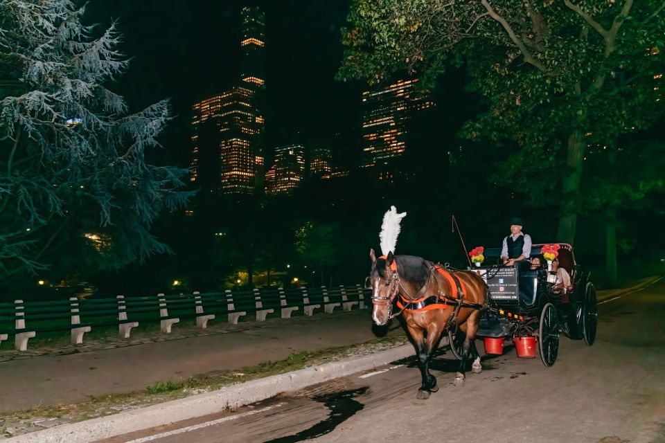 NYC MOONLIGHT HORSE CARRIAGE RIDE through Central Park - What is the NYC Moonlight Horse Carriage Ride?
