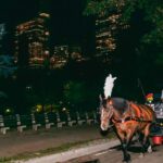 NYC MOONLIGHT HORSE CARRIAGE RIDE through Central Park - The Itinerary and Landmarks