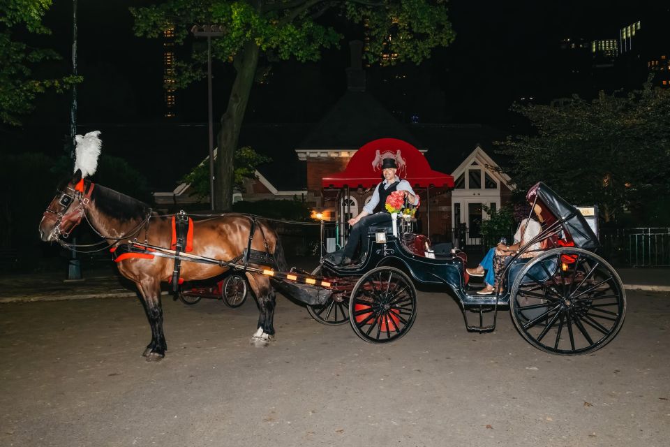 NYC MOONLIGHT HORSE CARRIAGE RIDE through Central Park - Practical Details and Considerations